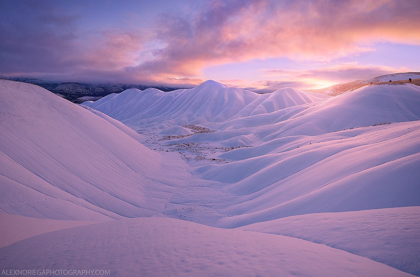 Episode 39: Alex Noriega on Making a Living as a Landscape Photographer ...